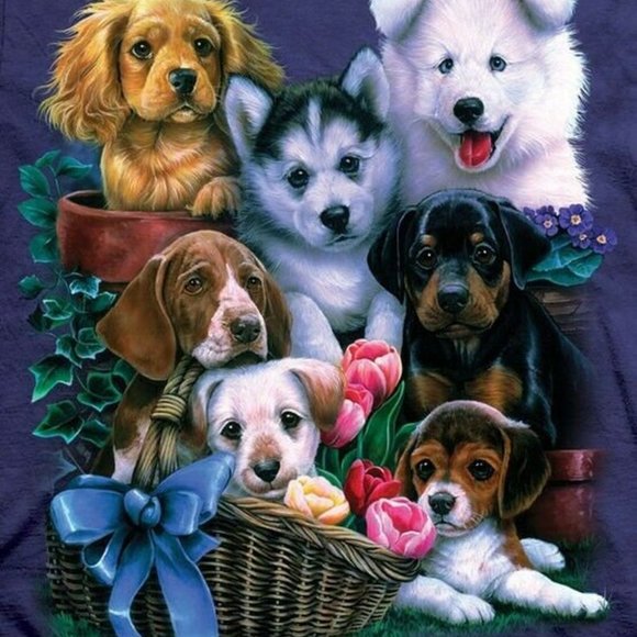 The Mountain | Tops | The Mountain Dog Puppy Collage Beagle Rottweiler ...